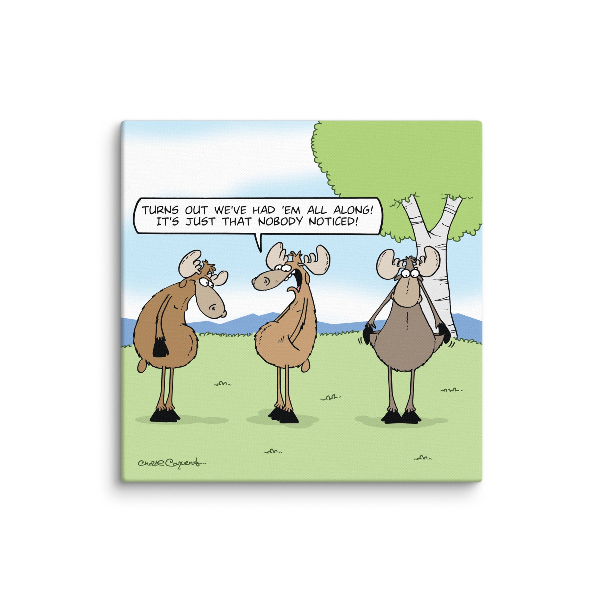 "Secret Pockets" Tundra Canvas Print – Tundra Comics Store